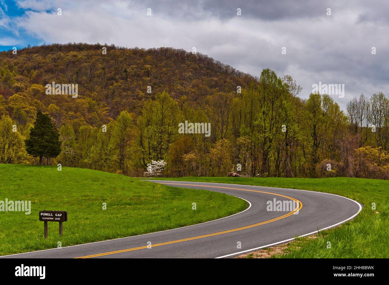 Spring in Powell Gap, Skyline Drive, Shenandoah National Park, Virginia ...