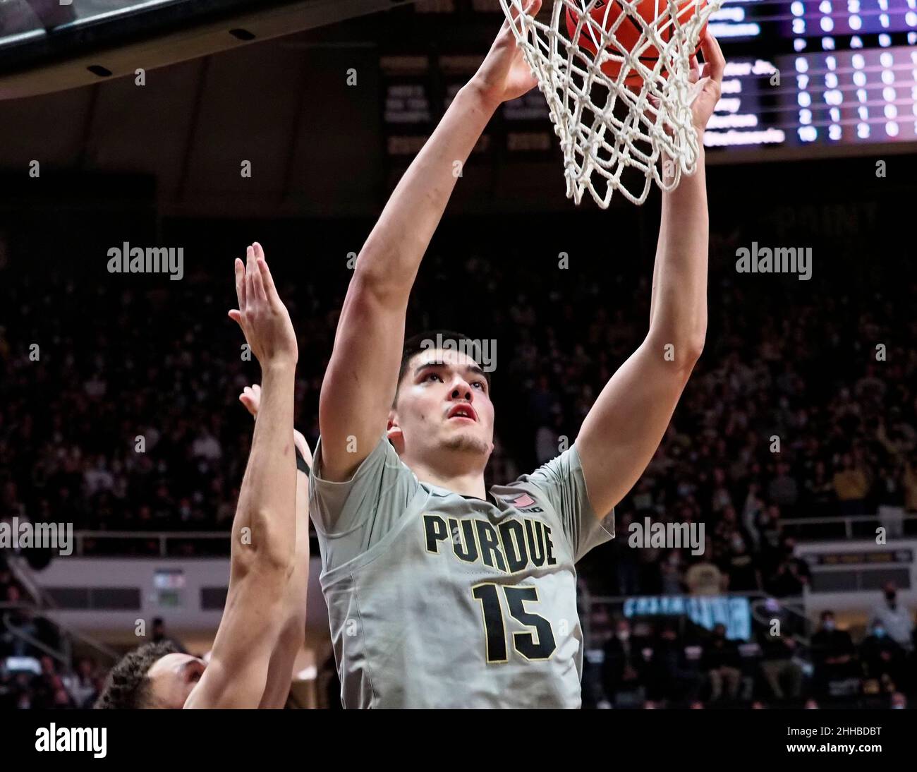 Zach edey indiana hi-res stock photography and images - Alamy