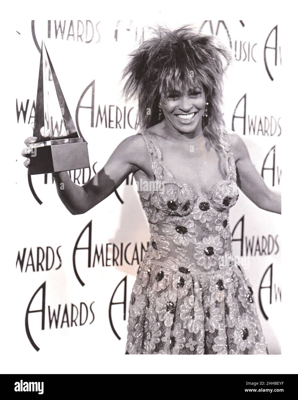 Rock singer Tina Turner at the AMA Awards on January 1 1989 Credit: Ron ...