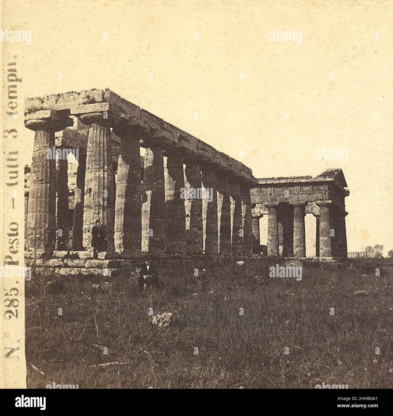 Sommer, Giorgio (1834-1914) & Behles, Edmund (1841-1924) - n. 285 ...