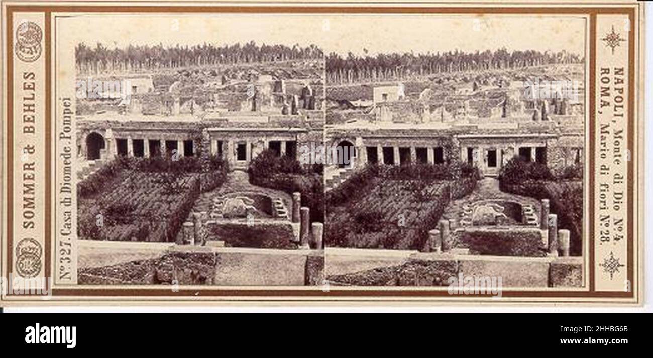 Sommer, Giorgio (1834-1914) & Behles, Edmund (1841-1924) - n. 327 ...