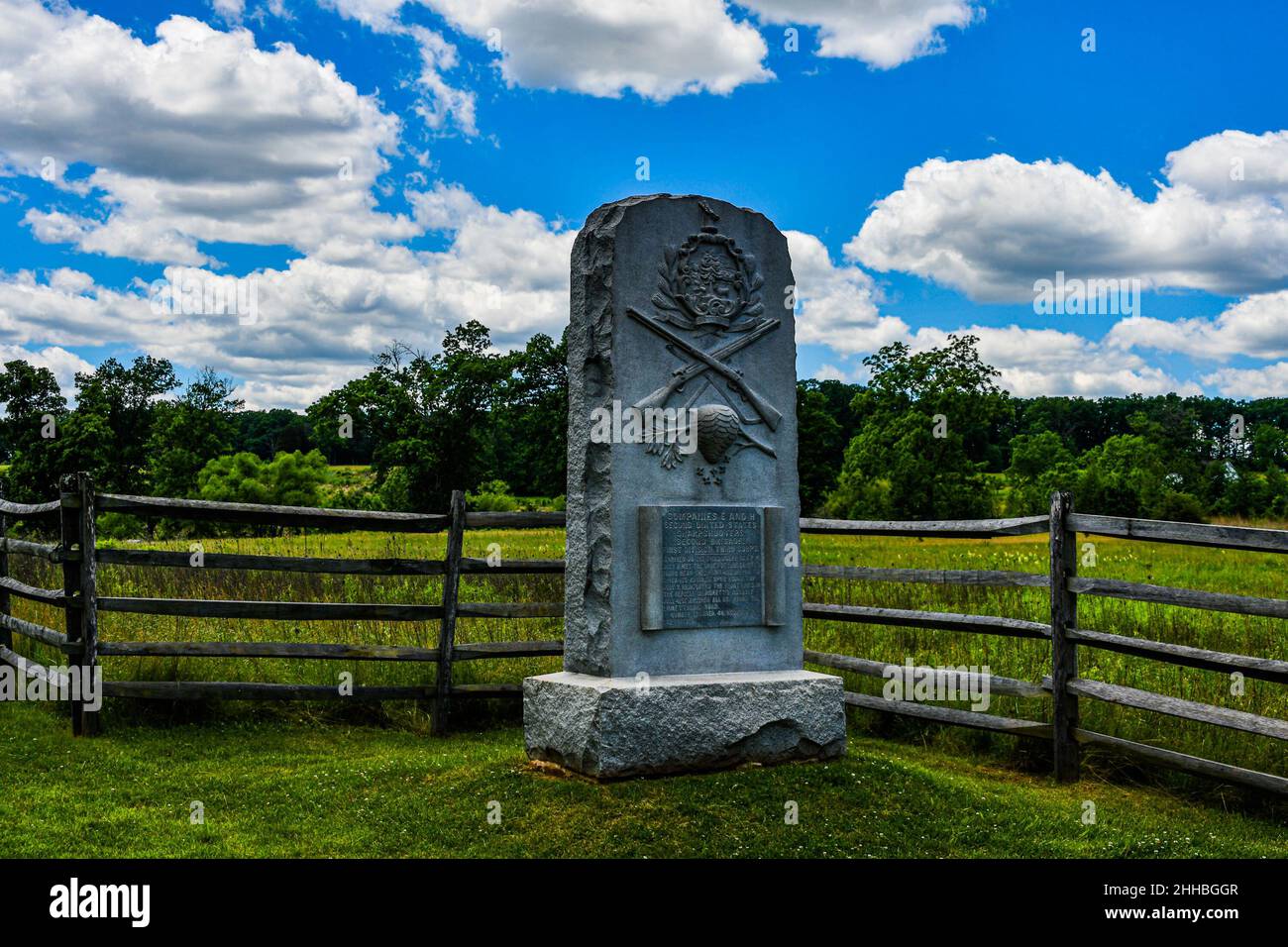 Sharpshooters tree hi-res stock photography and images - Alamy