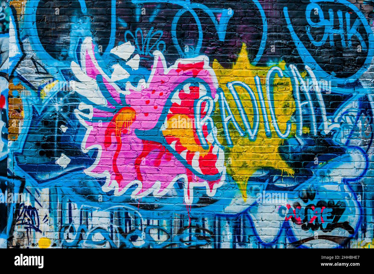 Photo of Radical Artwork from Graffiti Alley, Baltimore, Maryland USA ...