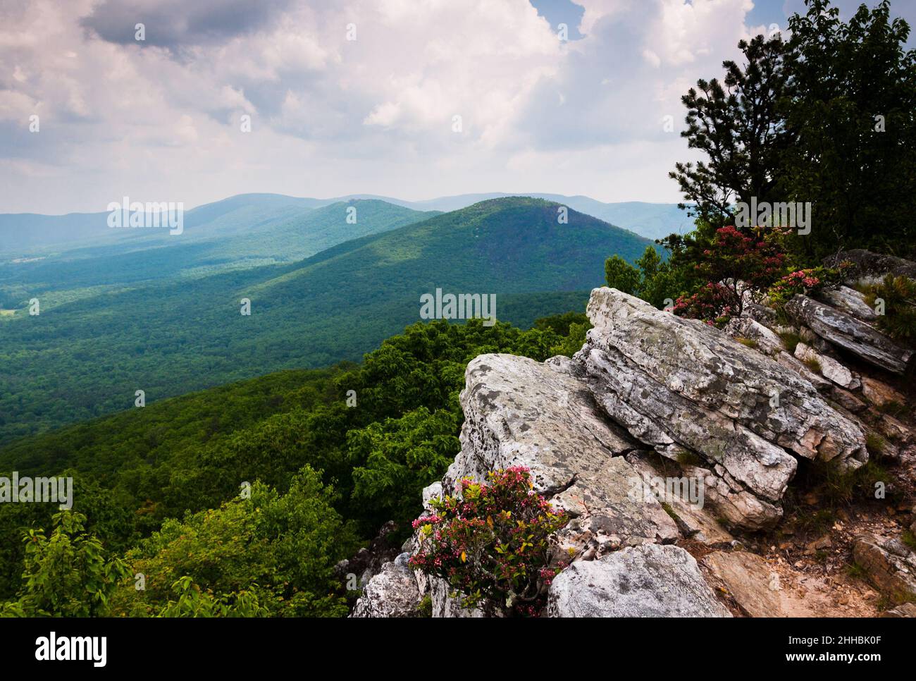 George Washington National Forest In Virginia at Dale Mack blog