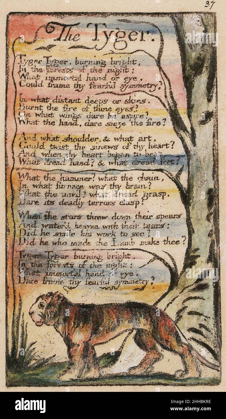 Songs of Innocence and of Experience copy N object 8 The Tyger Stock ...