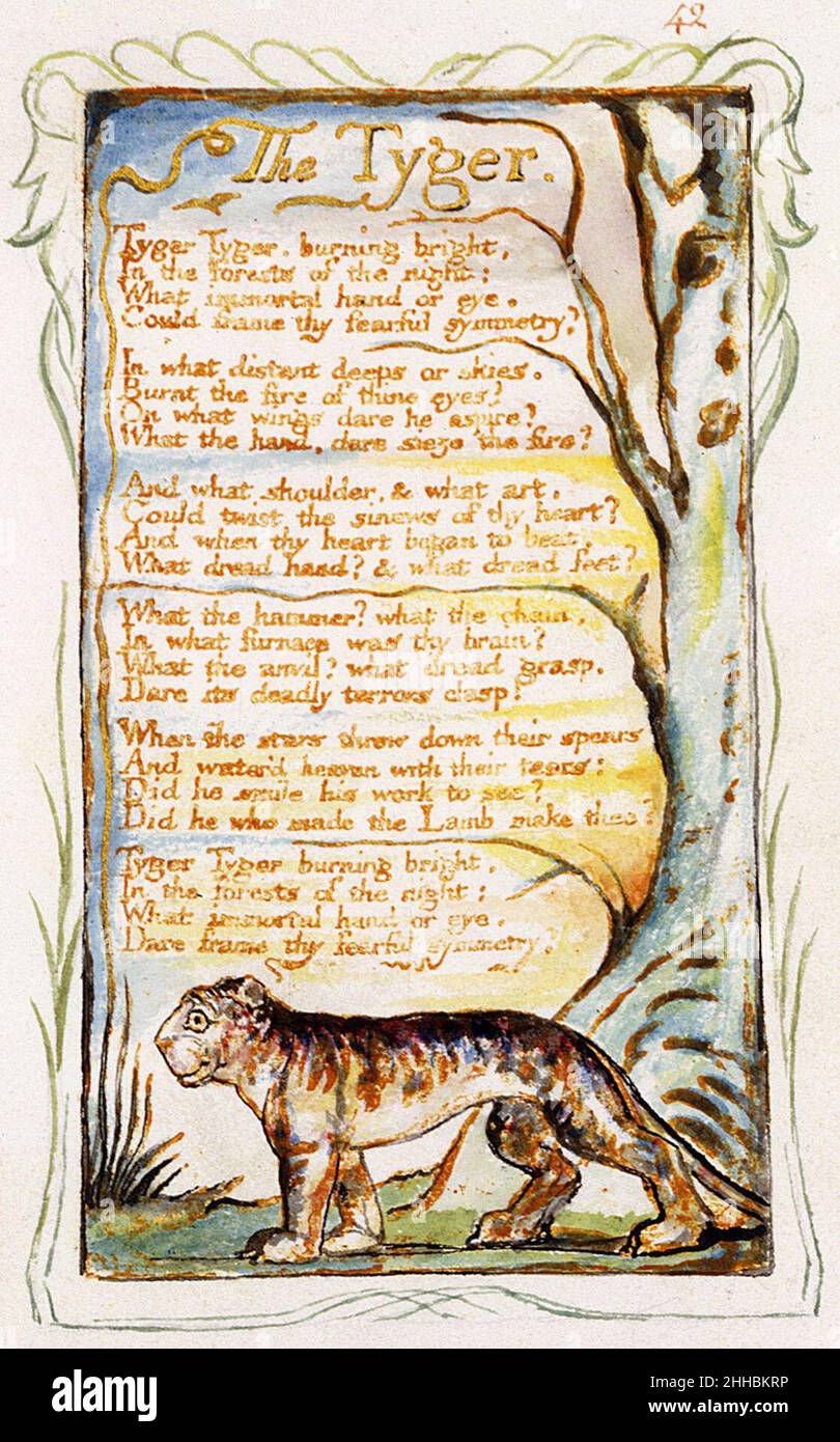 Songs of Innocence and of Experience copy Y object 42 The Tyger Stock ...