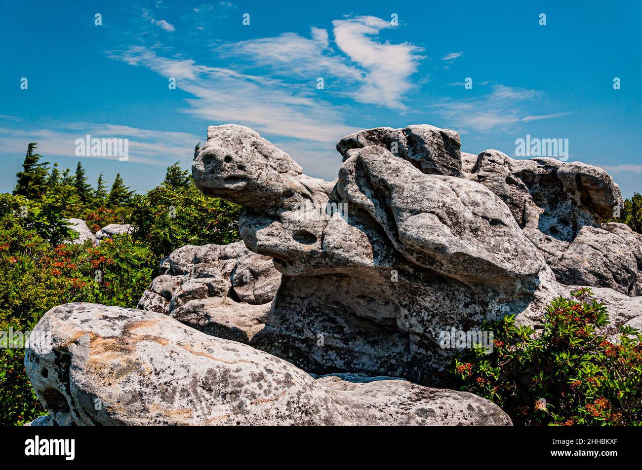 Rock Formations at Dolly Sods Wilderness, Monongahela National Forest ...