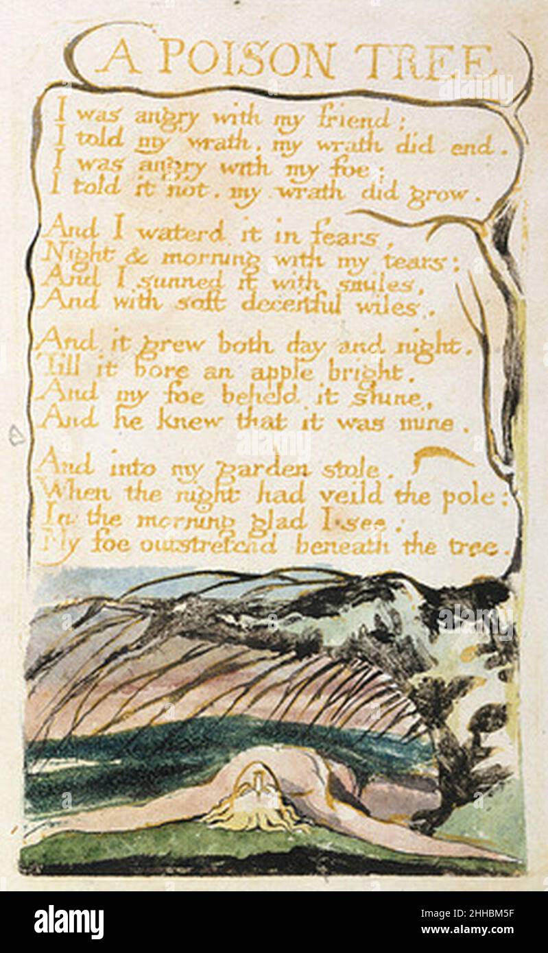 Songs of Innocence and of Experience, copy B, 1789, 1794 object 48 A ...