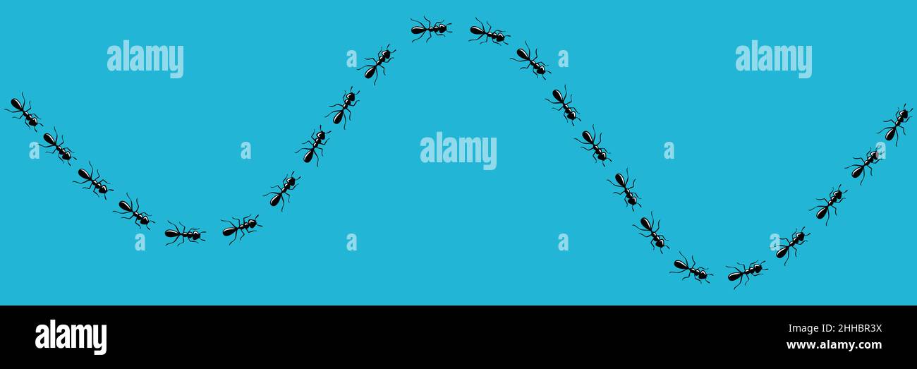 Ants trail. Route or path of worker ants isolated in blue background ...
