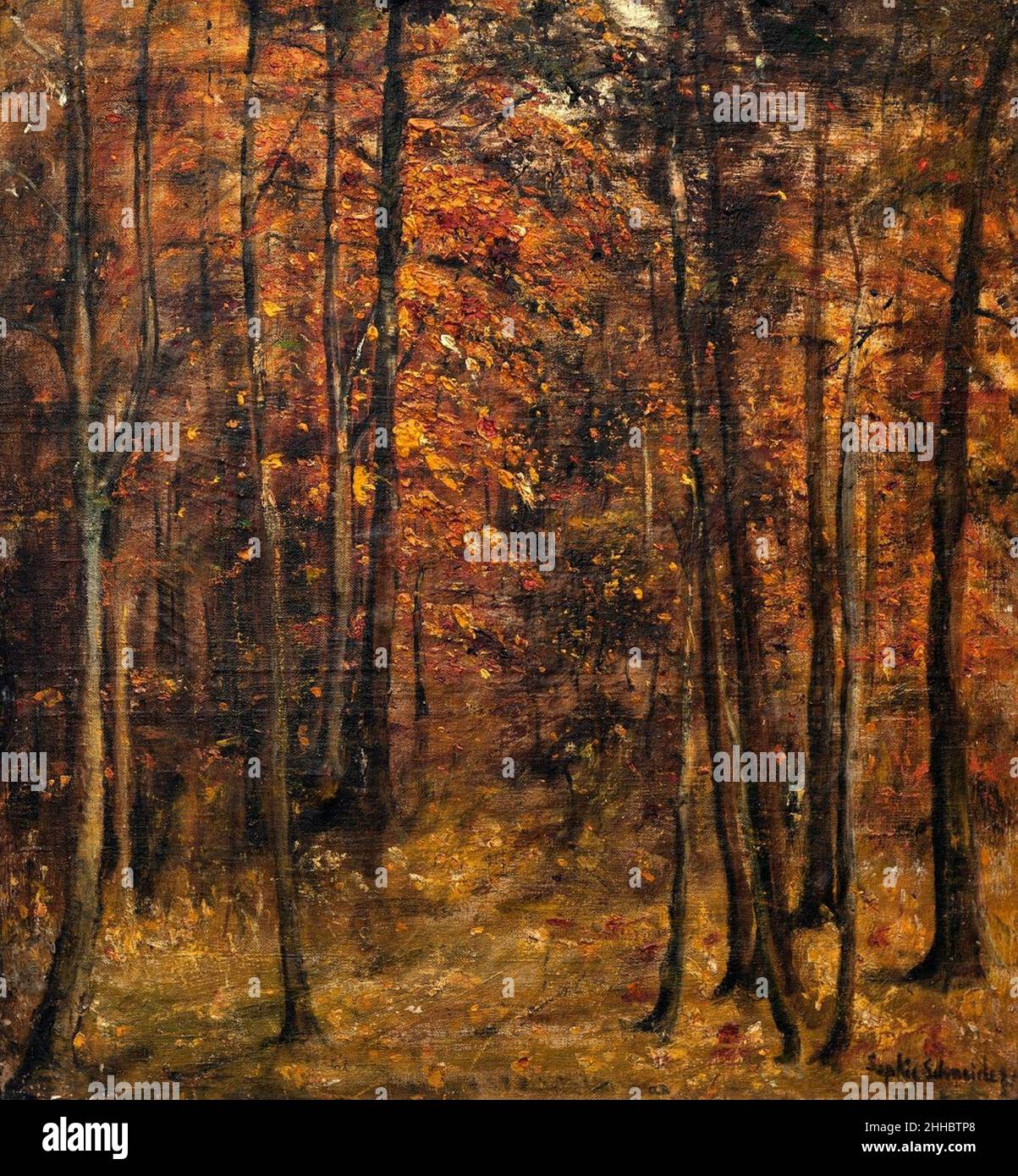 Waldbild hi-res stock photography and images - Alamy