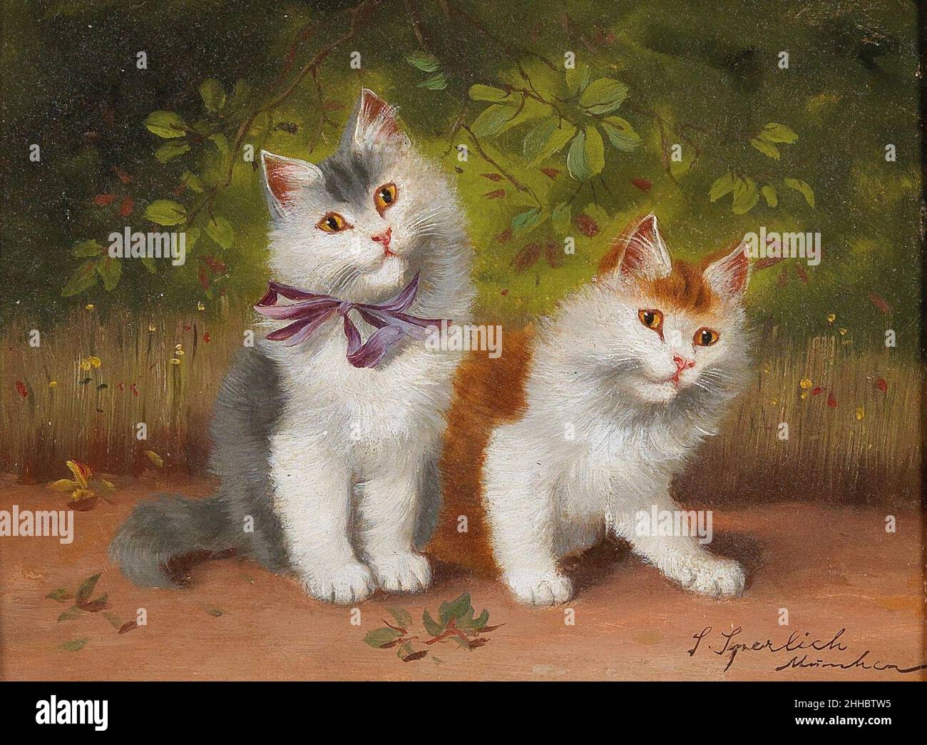 Sperlich hi-res stock photography and images - Alamy