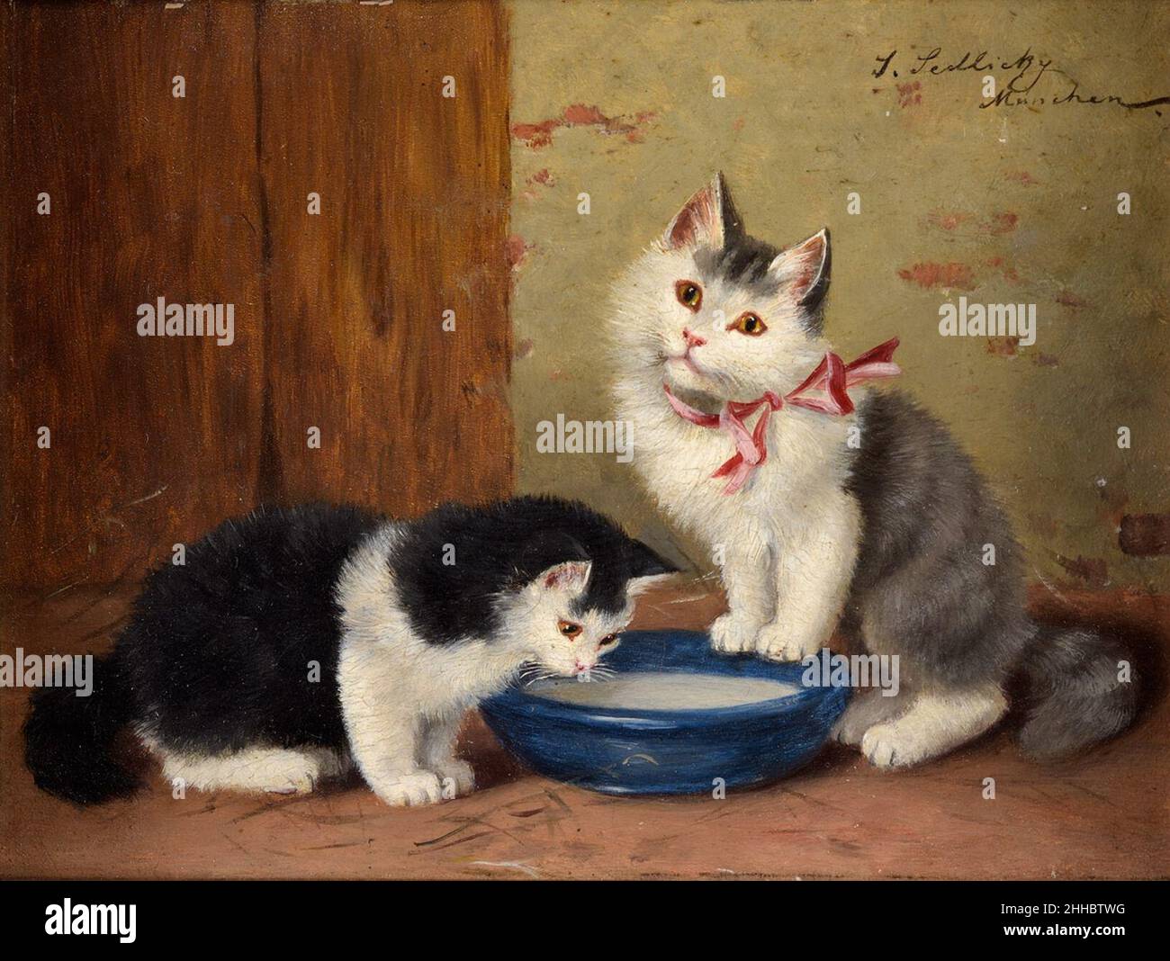 Sperlich hi-res stock photography and images - Alamy