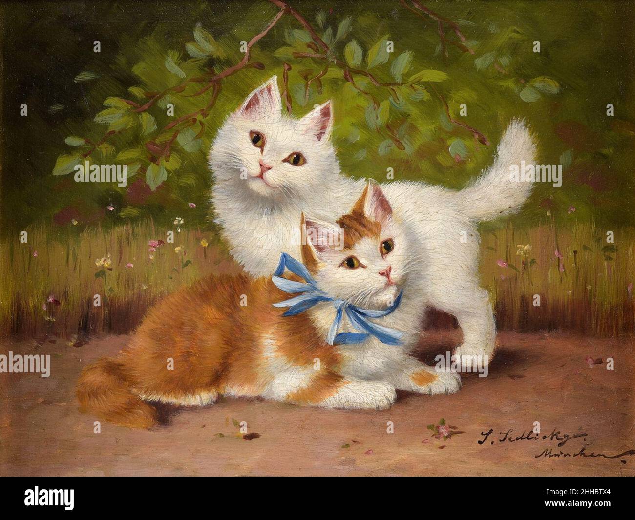 Sperlich hi-res stock photography and images - Alamy