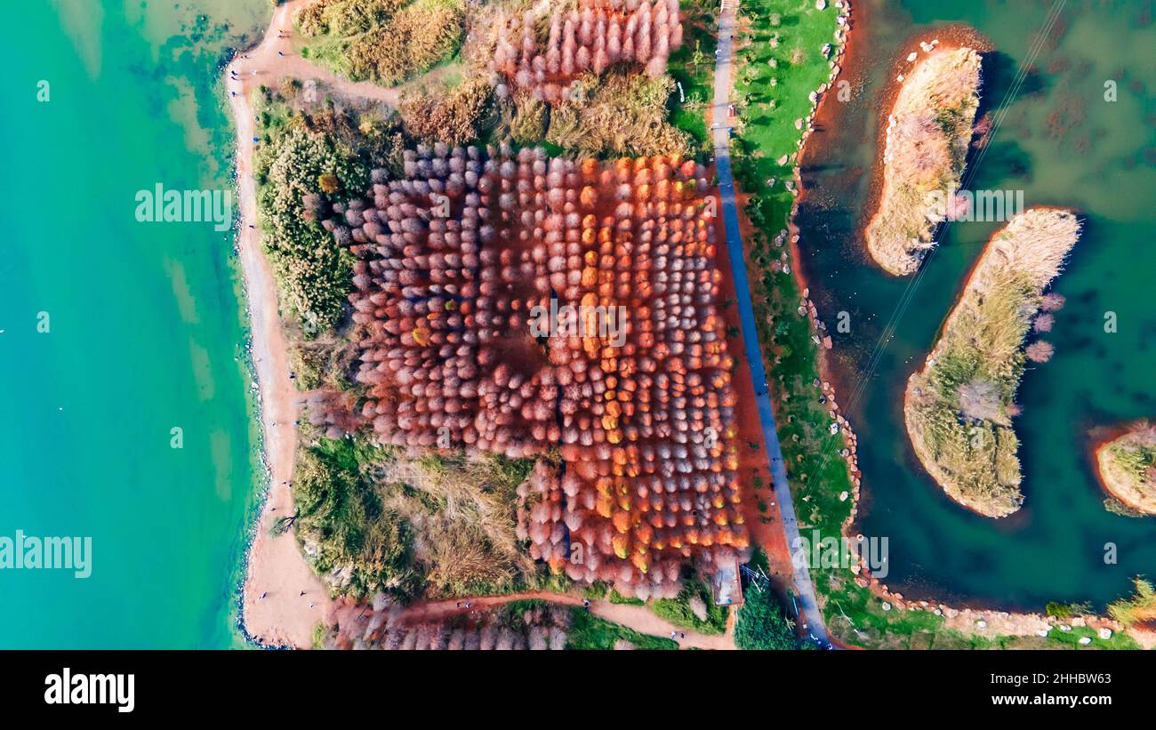 Wangguan wetland park hi-res stock photography and images - Alamy