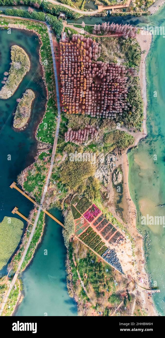 KUNMING, CHINA - JANUARY 18, 2022 - A view of wangguan Wetland Park in ...