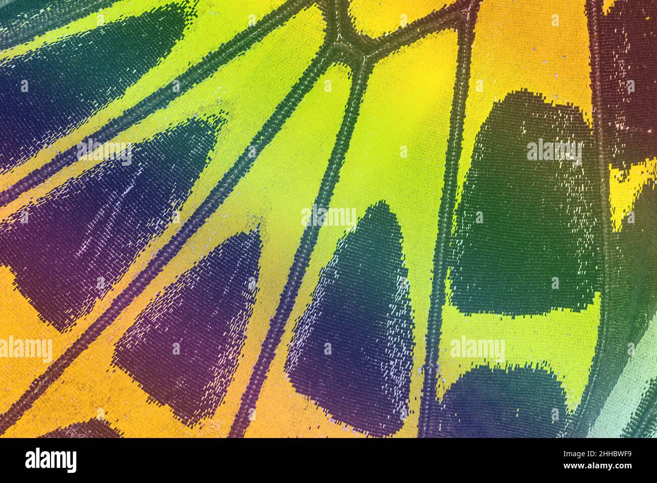 Butterfly wing pattern background Stock Photo - Alamy