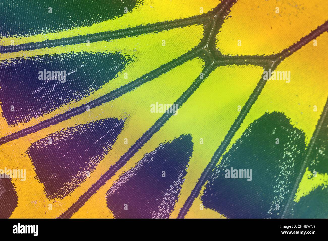 Butterfly wing pattern background Stock Photo - Alamy