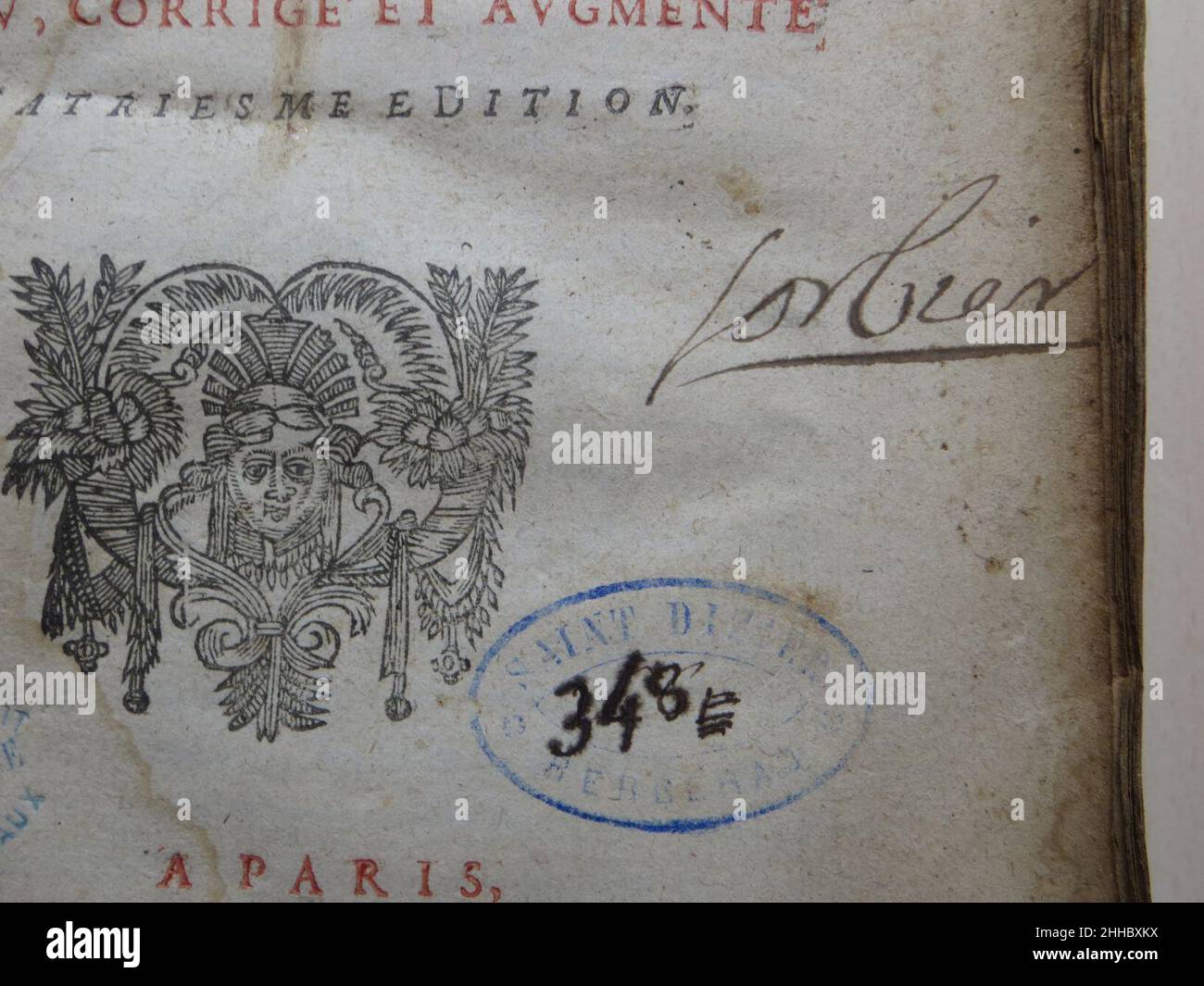 Sorbier hi-res stock photography and images - Alamy