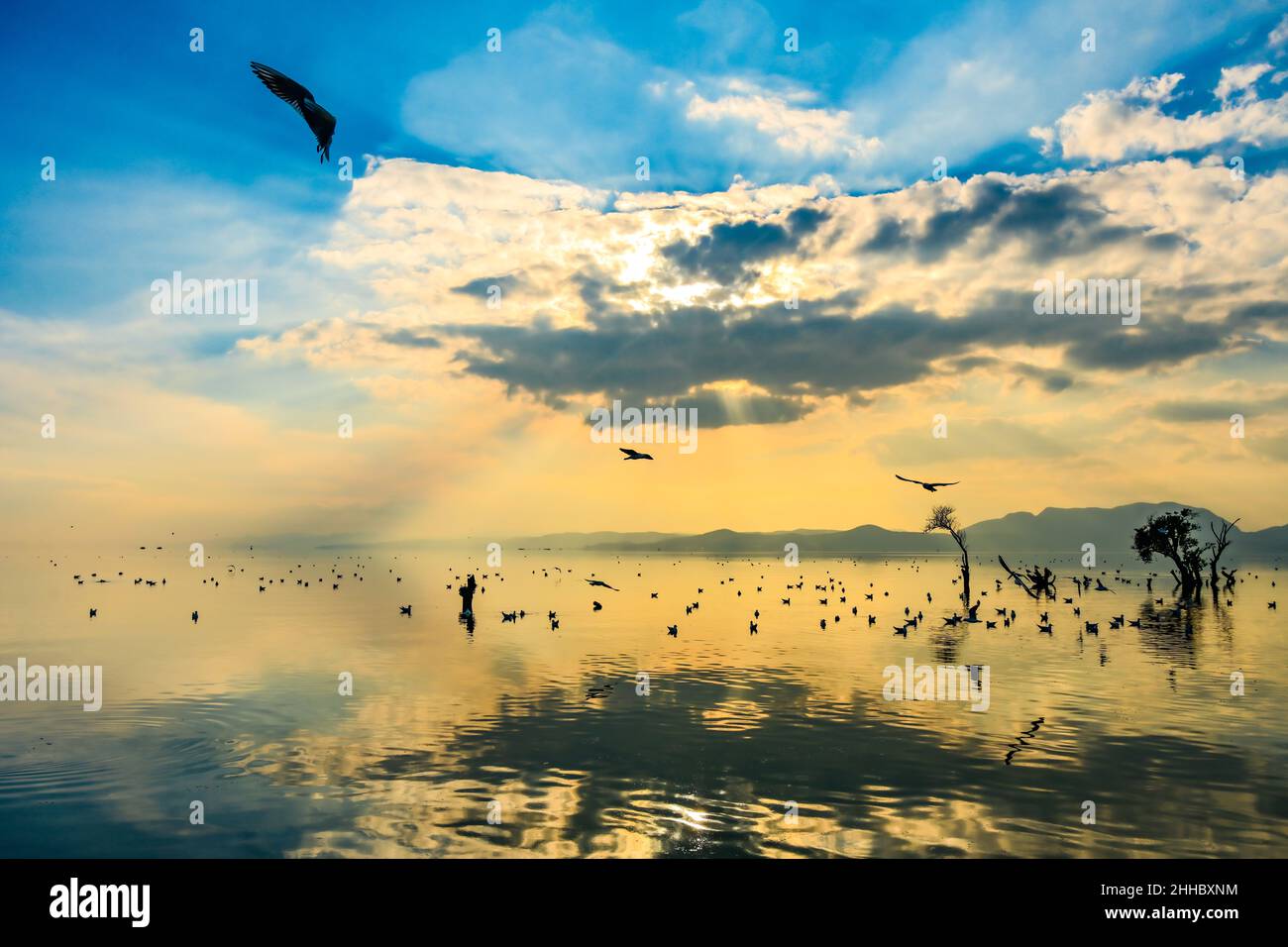 KUNMING, CHINA - JANUARY 18, 2022 - Birds flying at Wangguan Wetland ...