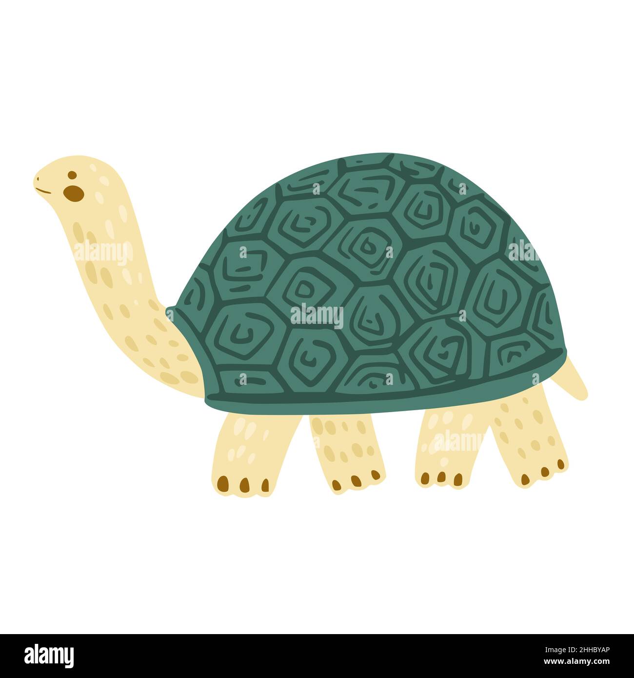 Turtle isolated on white background. Cute cartoon character tortoise ...