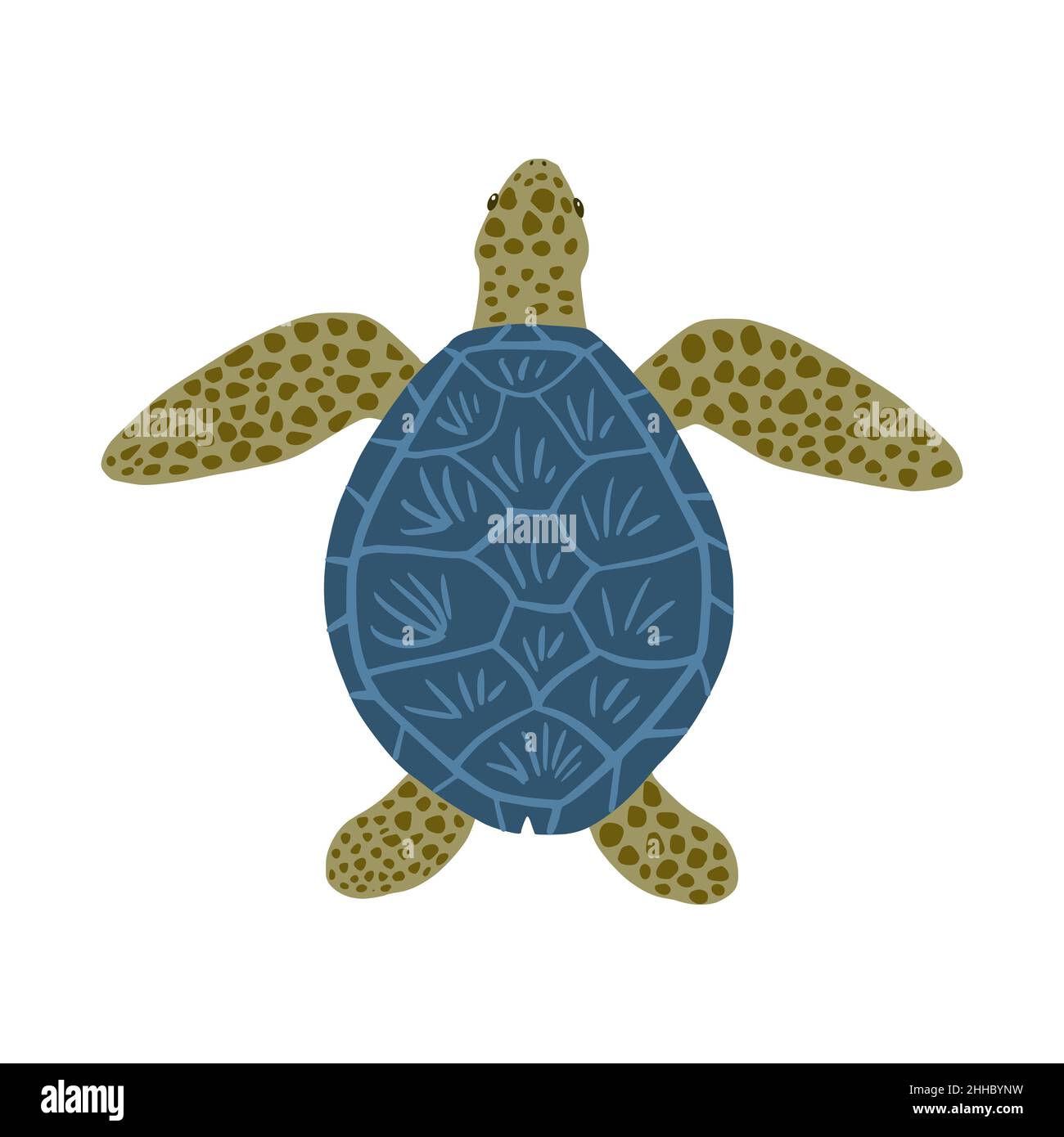 Terrapin isolated on white background. Cute cartoon character turtle ...