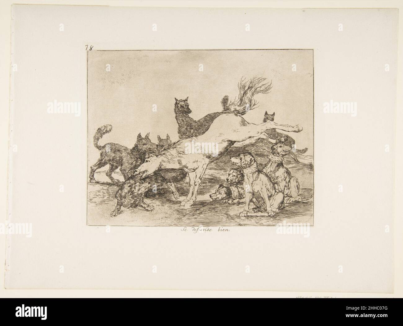 Animali in guerra hi-res stock photography and images - Alamy