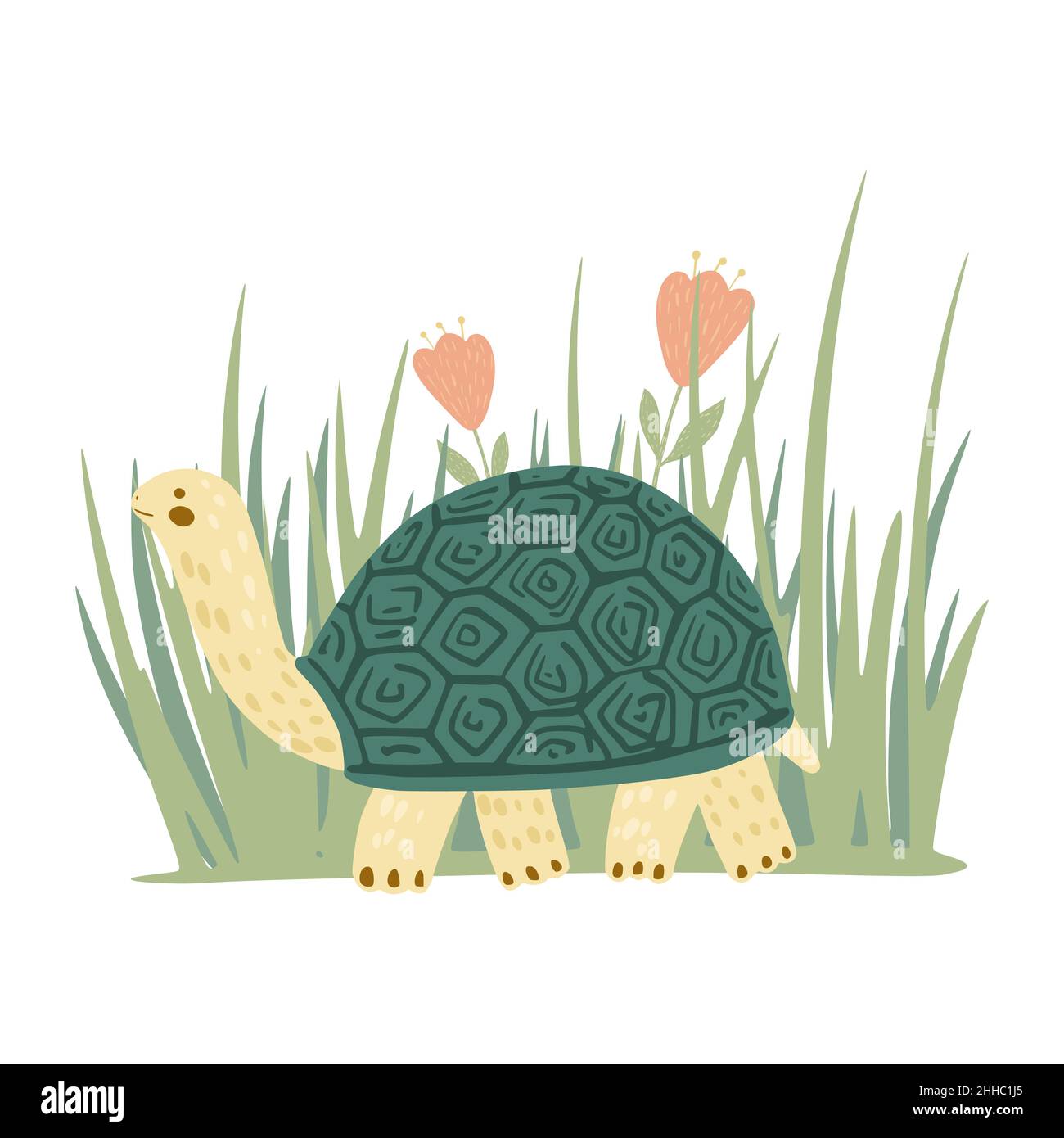 Composition turtle with grass and flowers isolated on white background ...
