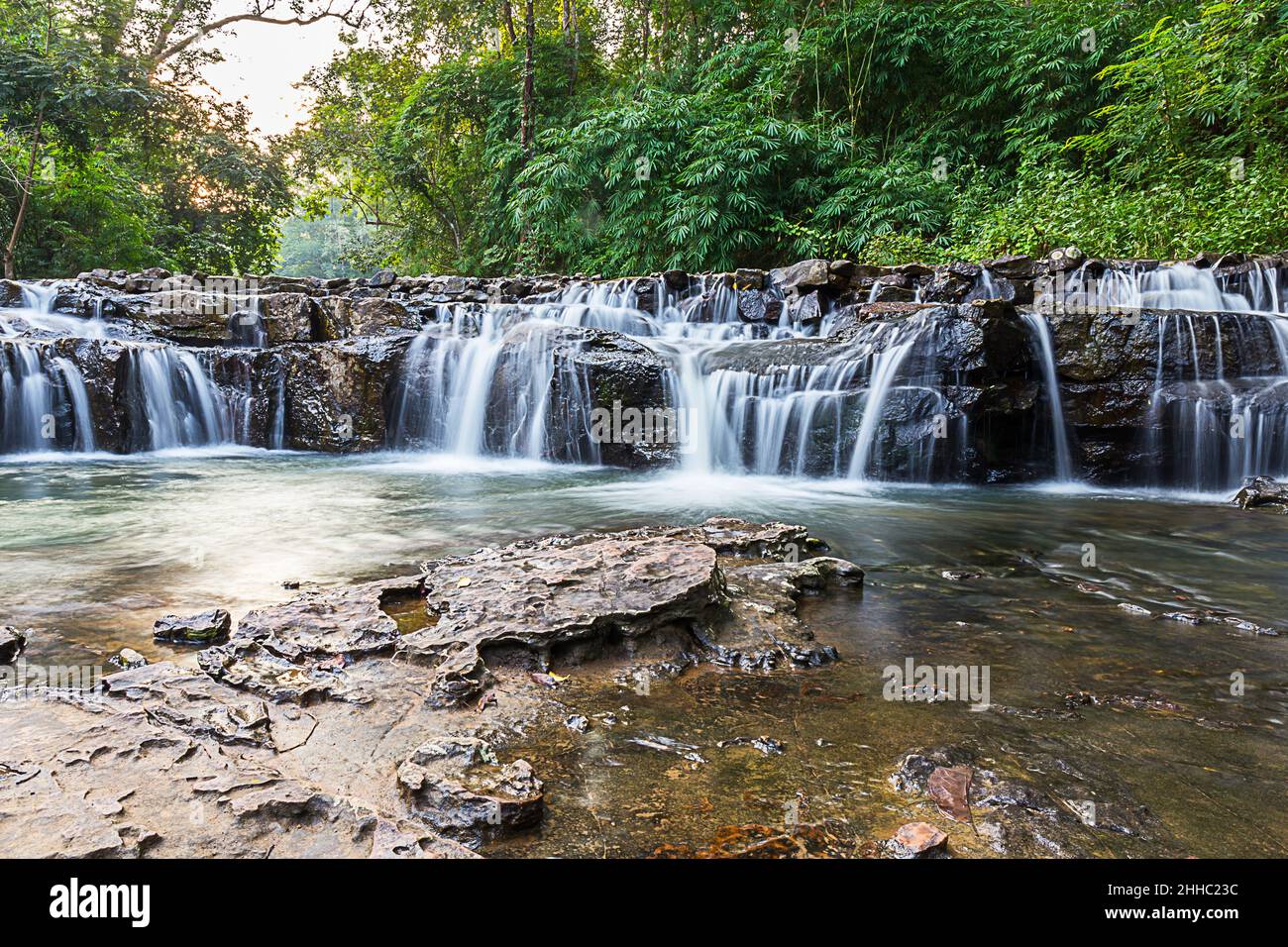 Green forest waterfall nature background Stock Photo - Alamy