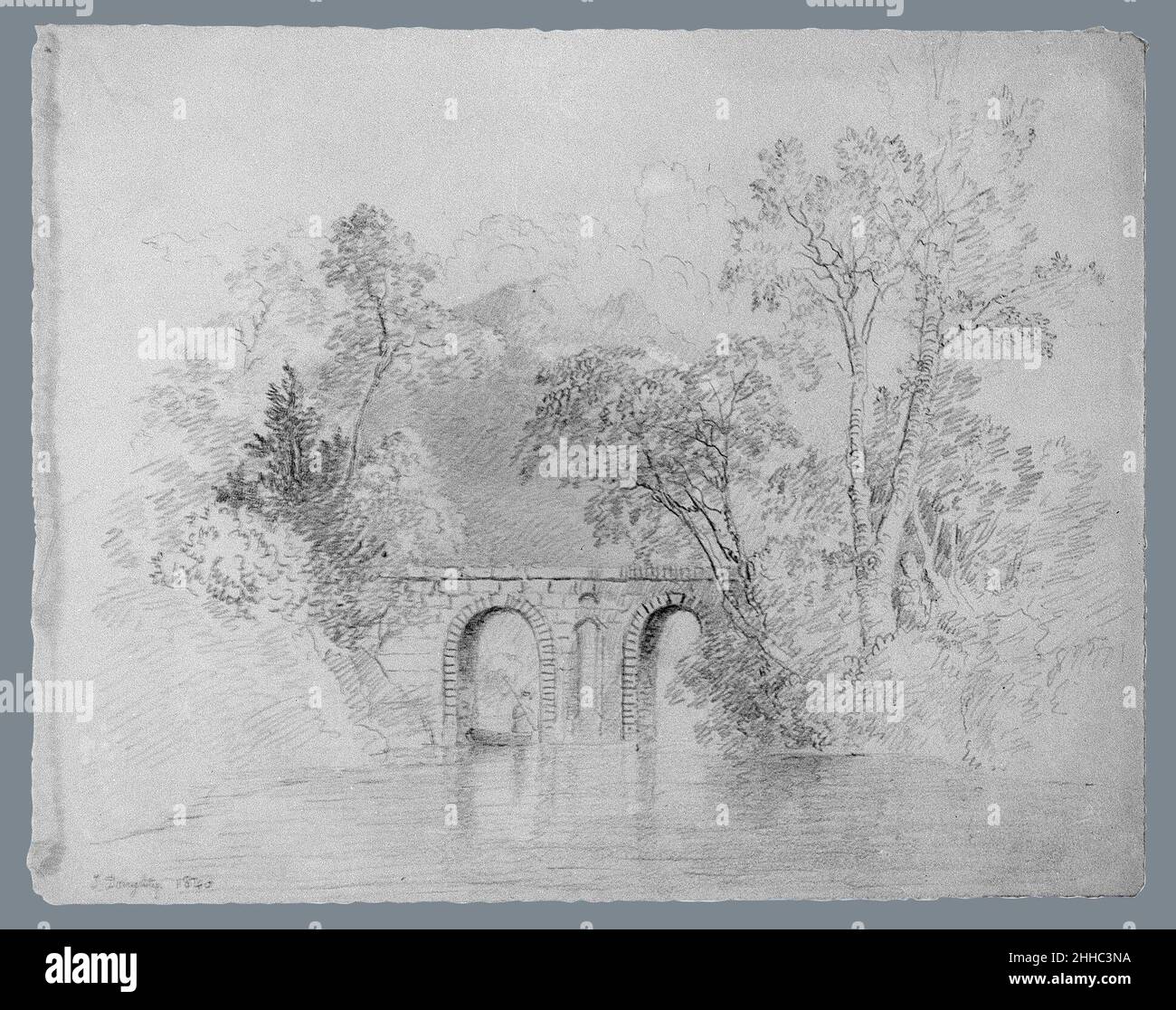 The Quiet Nature Drawing