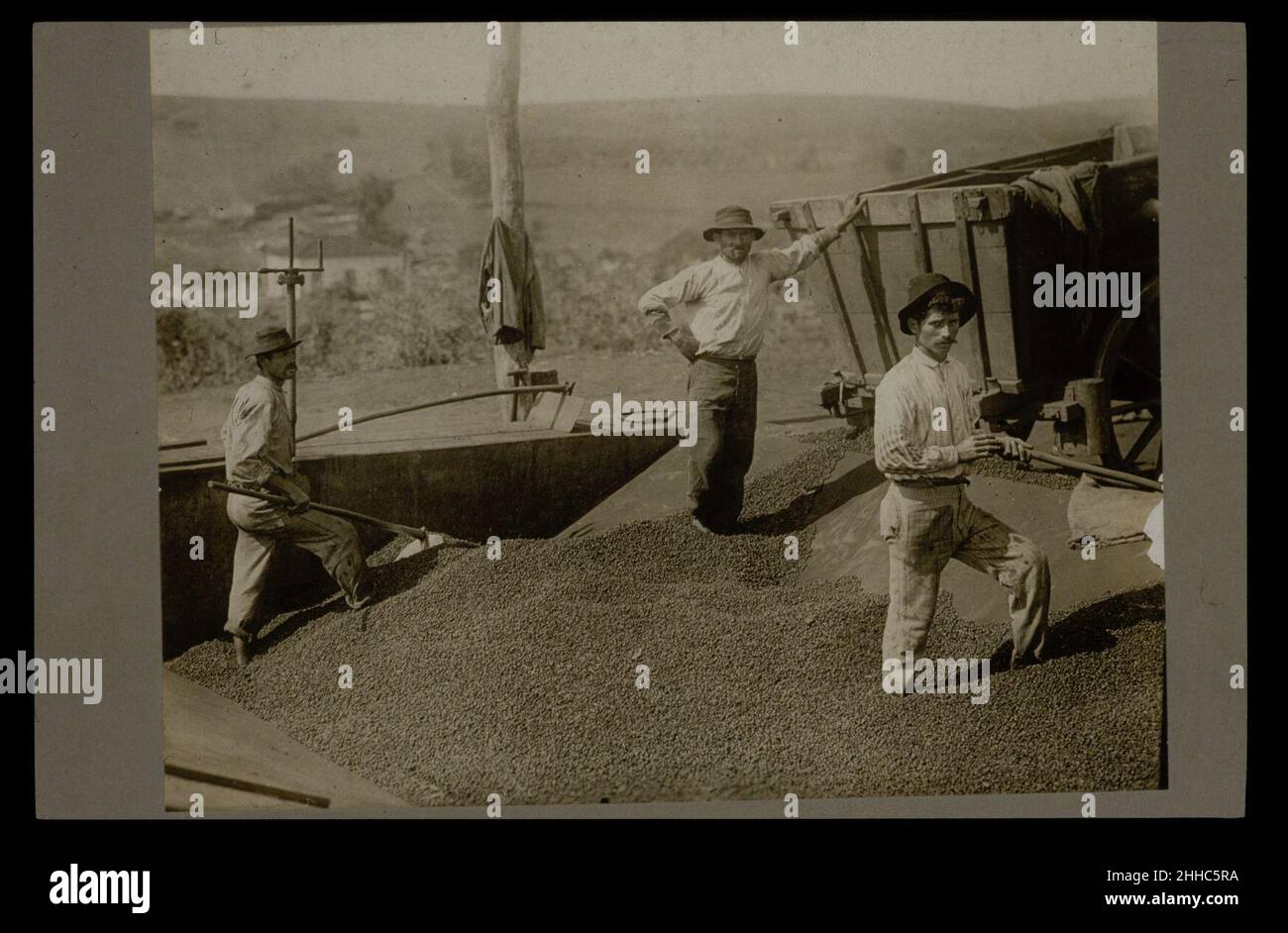 South America, Brazil, Sandos (i.e., Santos). Unloading coffee into ...