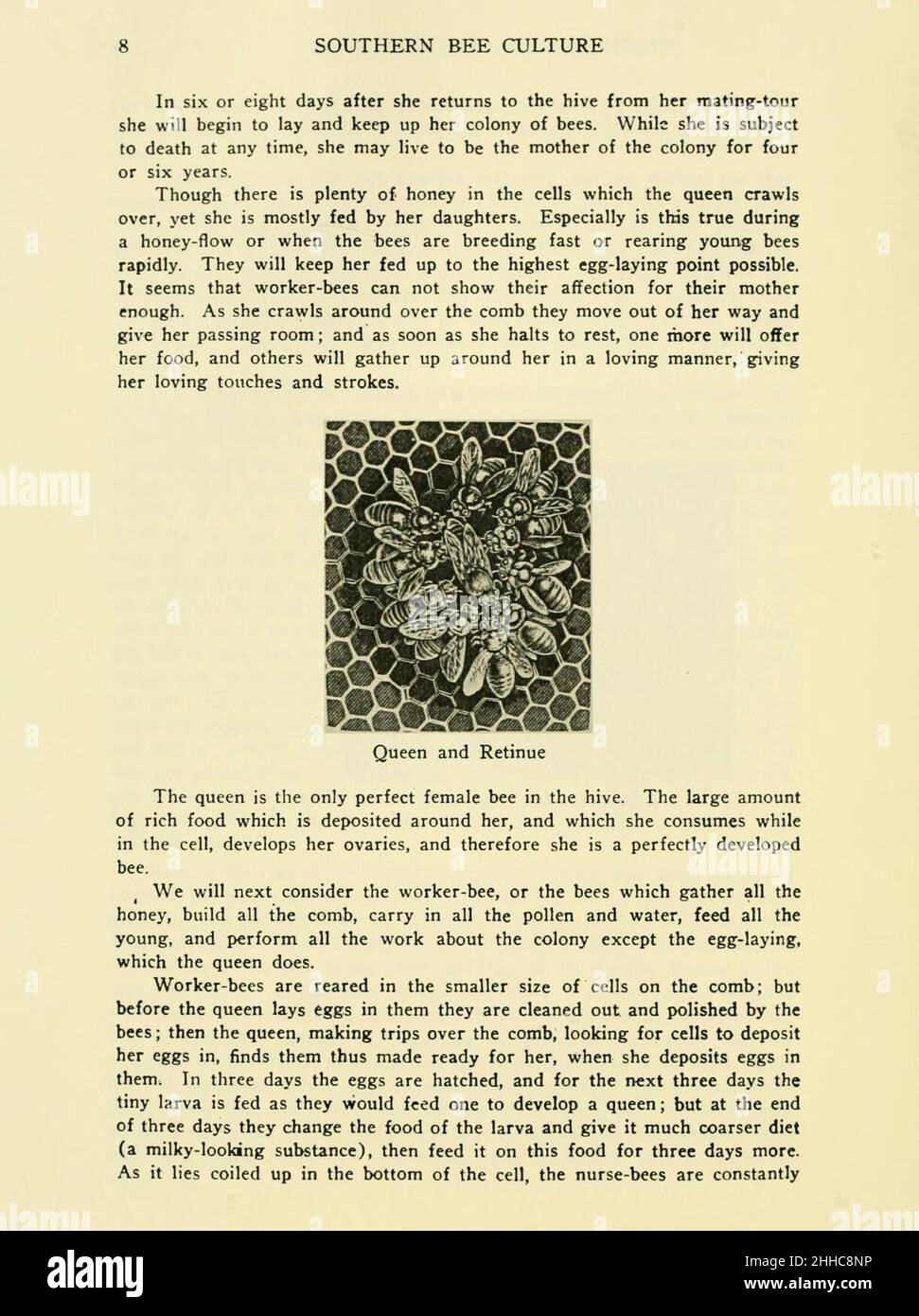 Southern bee culture (Page 8 Stock Photo - Alamy