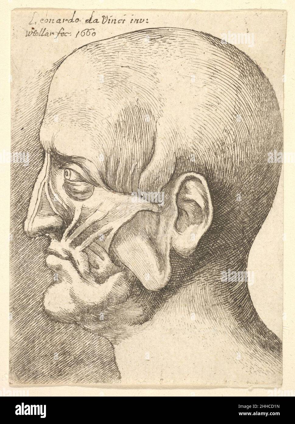 écorché man hi-res stock photography and images - Alamy