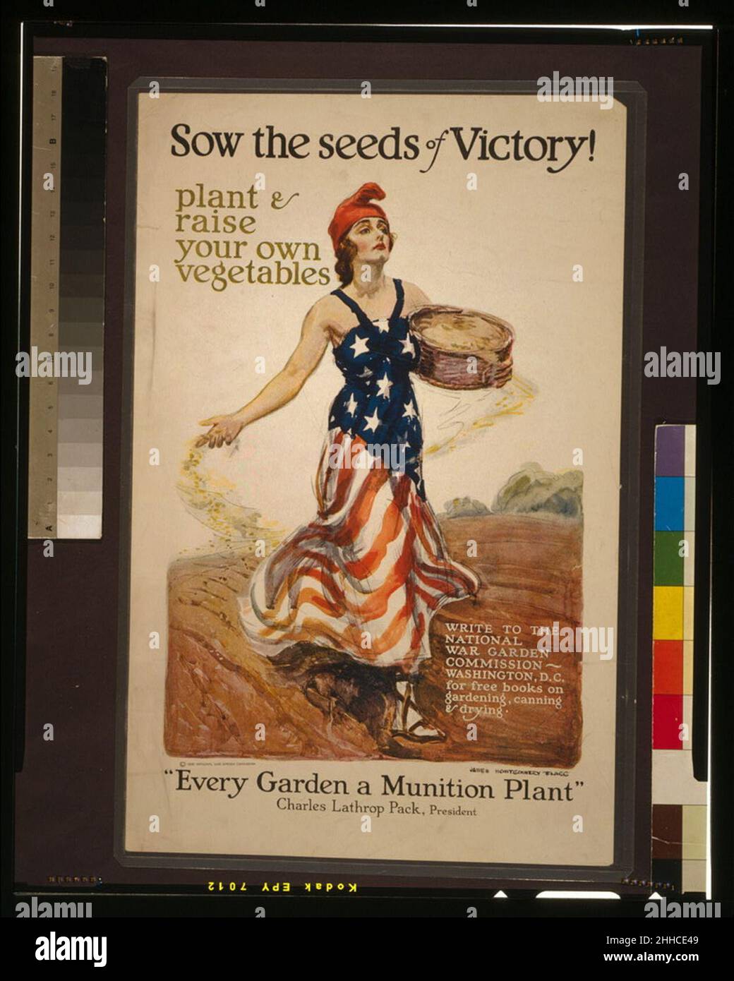 Sow the seeds of victory! Plant & raise your own vegetables - James ...
