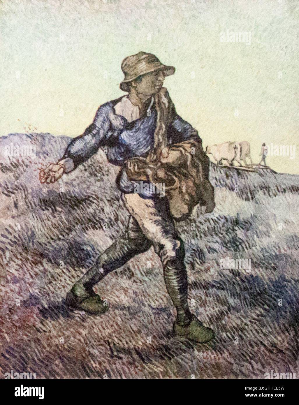 Sower millet hi-res stock photography and images - Alamy