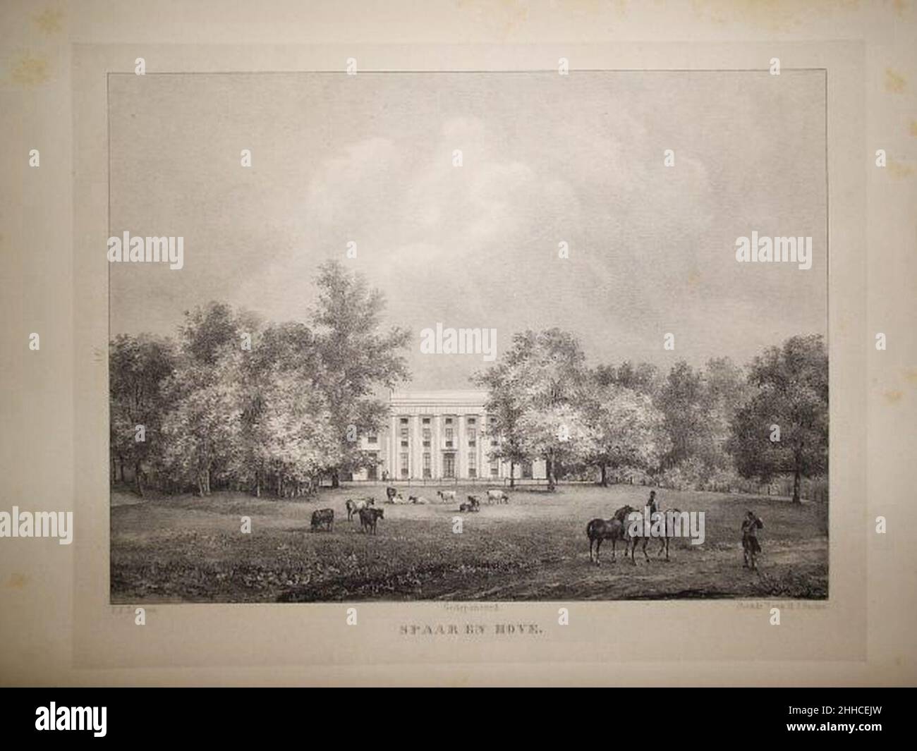 Spaar hi-res stock photography and images - Alamy