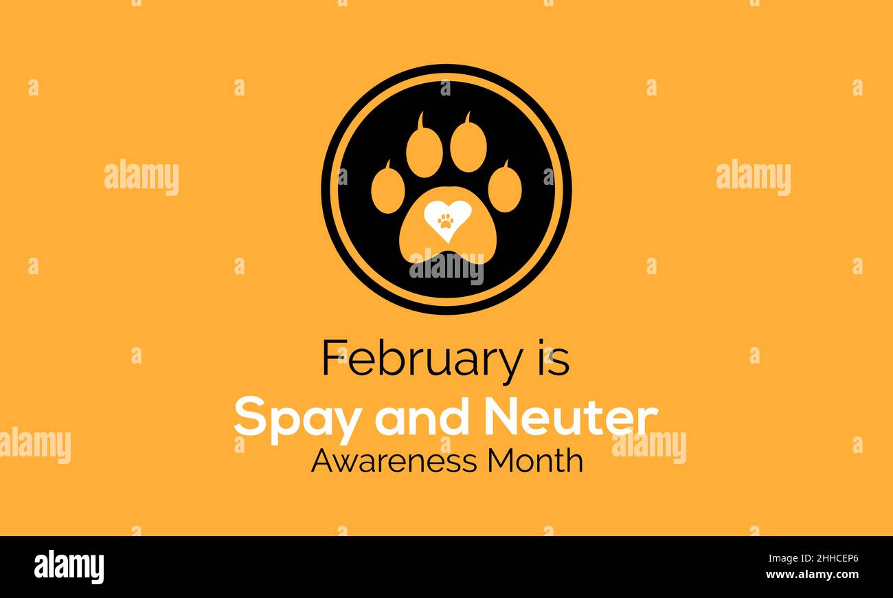 Spay and Neuter awareness month. Vector template for banner, card ...