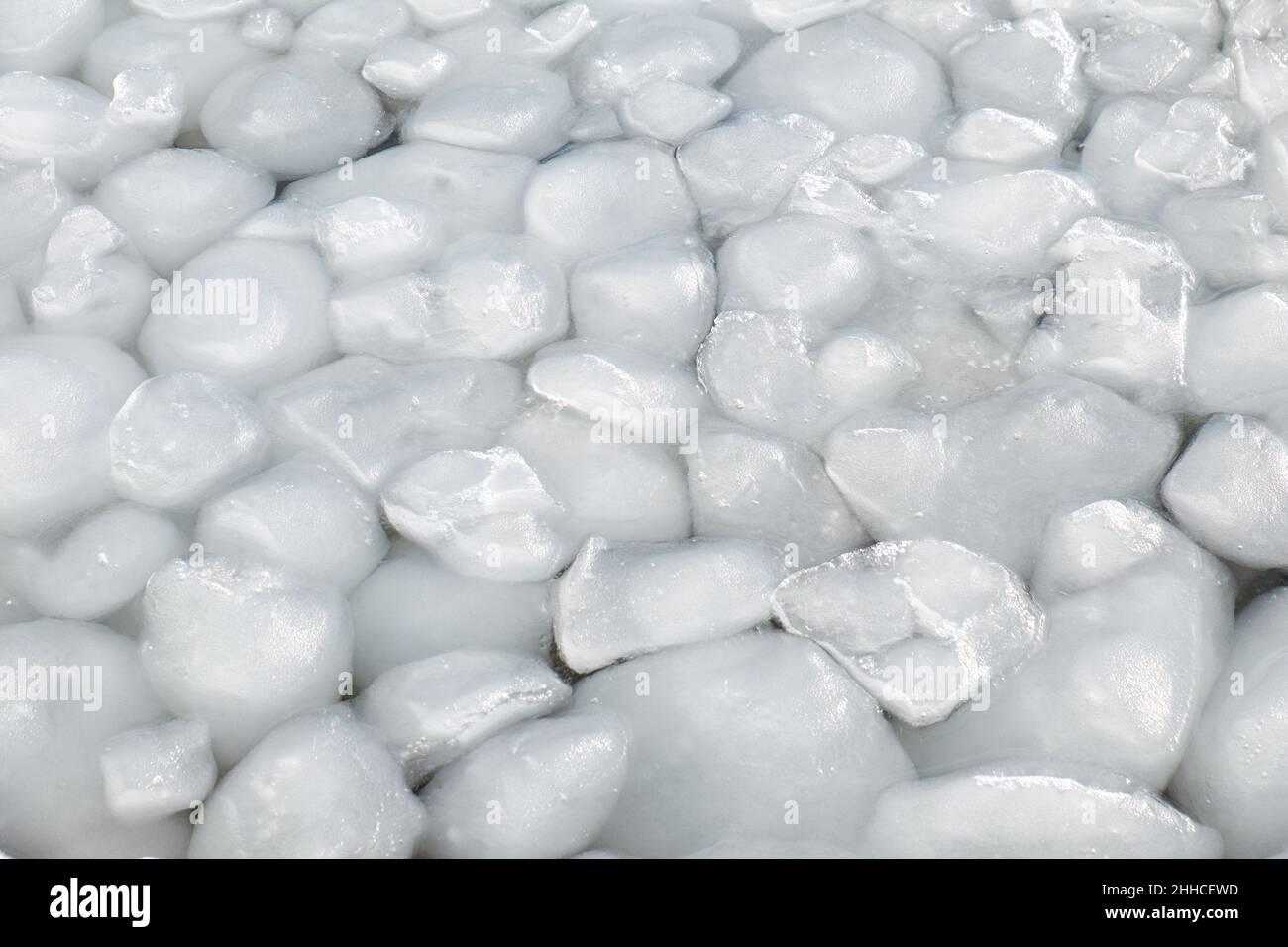 Lumps of snow and ice frazil on the surface of the freezing river water ...