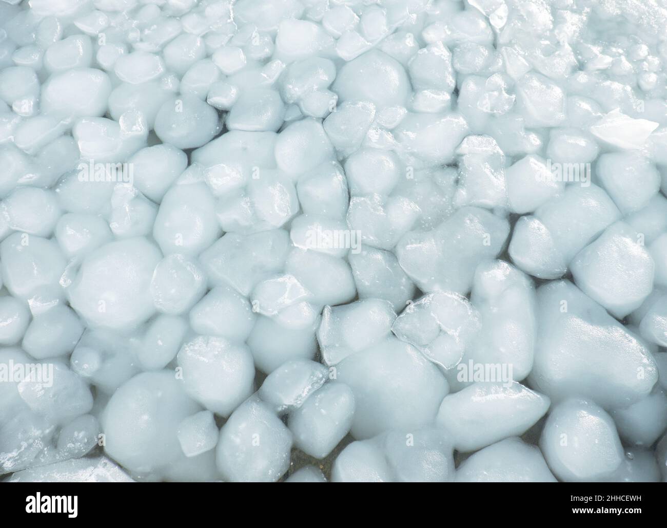 Lumps of snow and ice frazil on the surface of the freezing river water ...