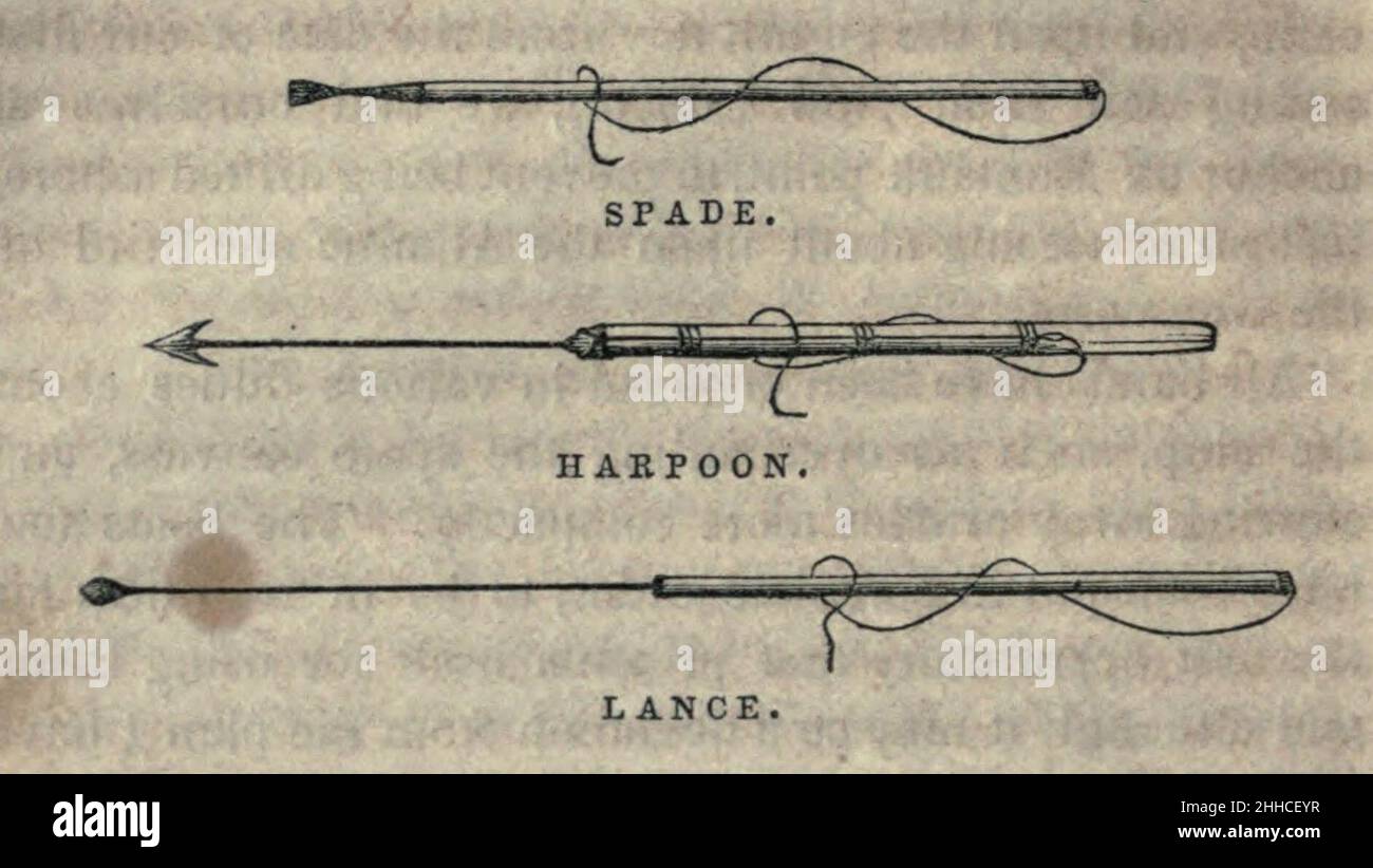 Spade, Harpoon and Lance, sketch by F. A. Olmstead, 1841 Stock Photo ...