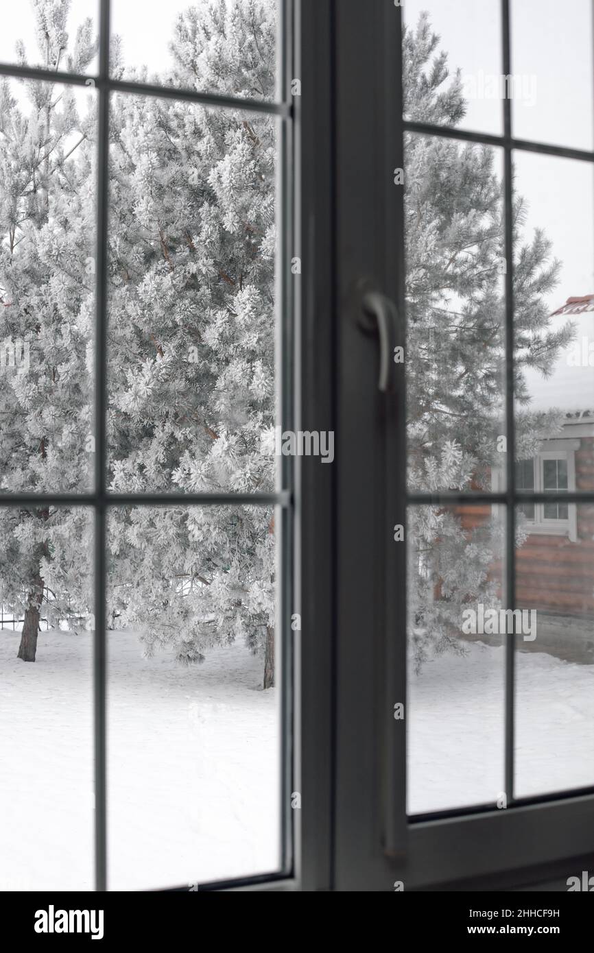 Amazing view on fir trees covered with snow, part of wooden cottage and ...