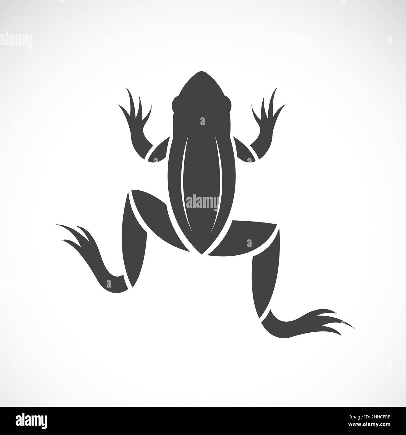 Vector of a frog design on white background. Easy editable layered ...