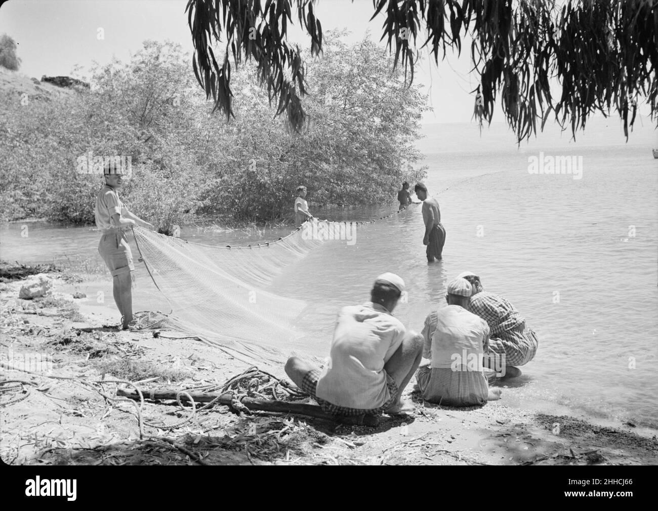 Bain fish hi-res stock photography and images - Alamy