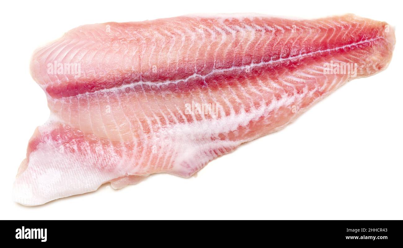 Fresh fish isolated on white background Stock Photo - Alamy