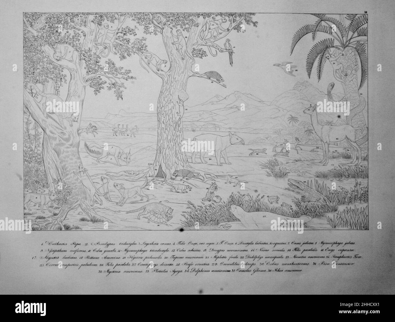 73 original hi-res stock photography and images - Alamy