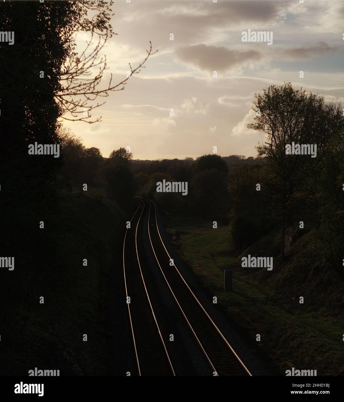 Savernake railway hi-res stock photography and images - Alamy