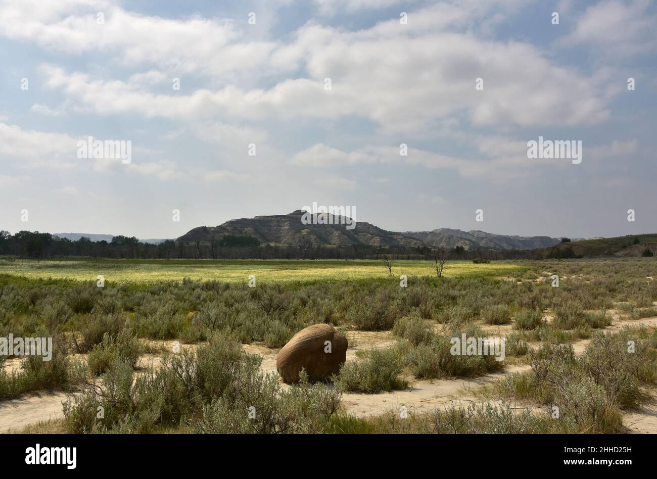 Scenic landscape with grass covered field and a round rock formation ...