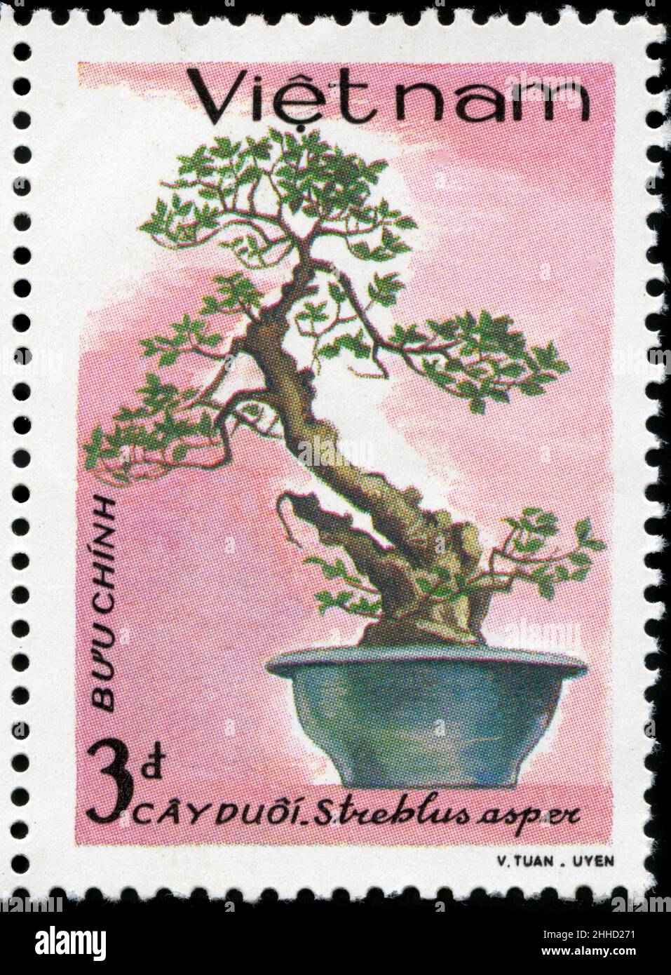 Postage stamp from Vietnam in the Vietnamese Bonsai series issued in ...
