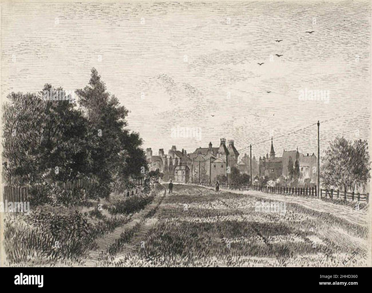 Spring Head Road, now Spring Bank West , 1883 Stock Photo - Alamy