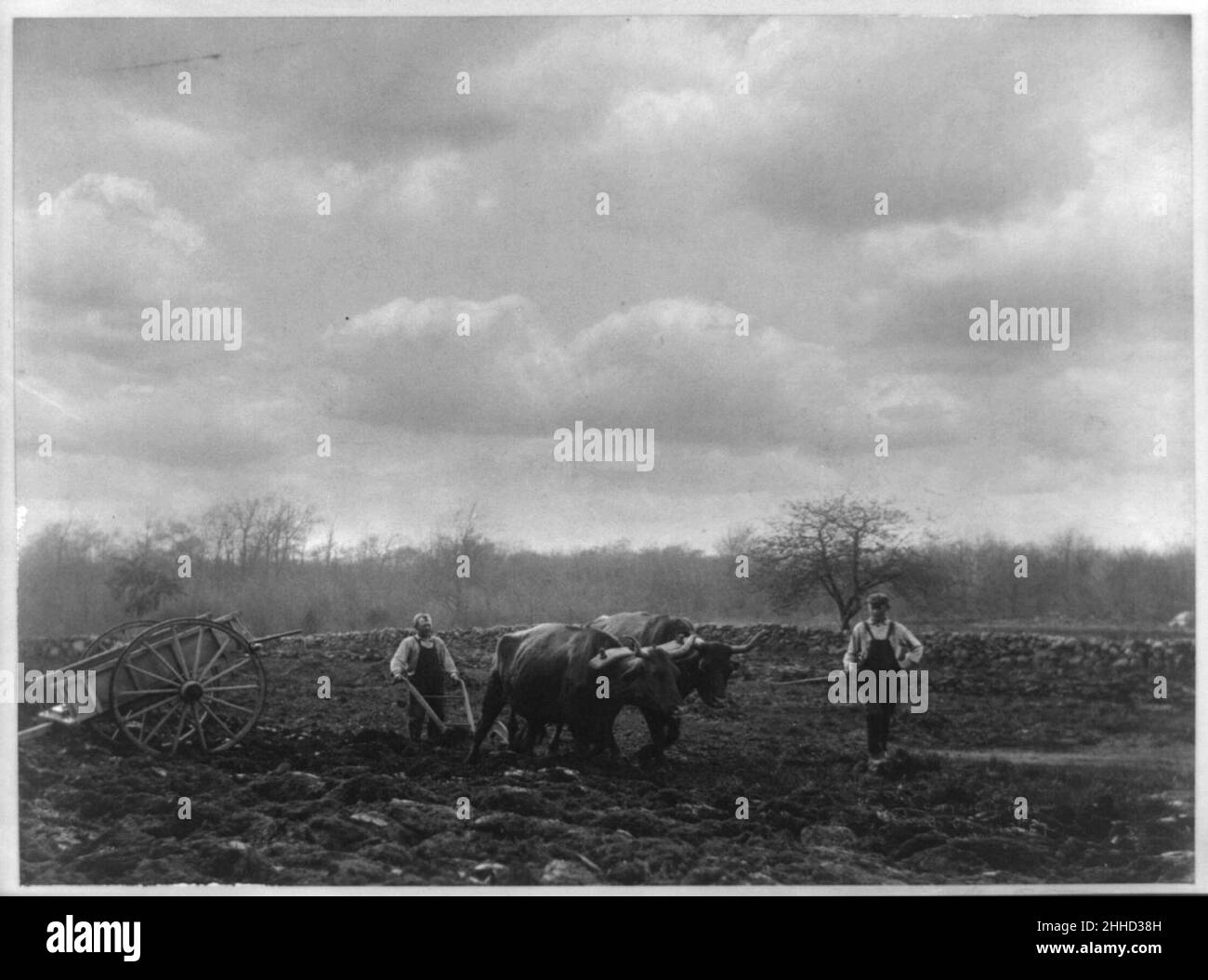 Spring ploughing, New England Stock Photo - Alamy