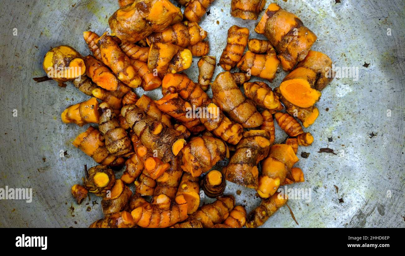 turmeric before processing to powder Stock Photo - Alamy